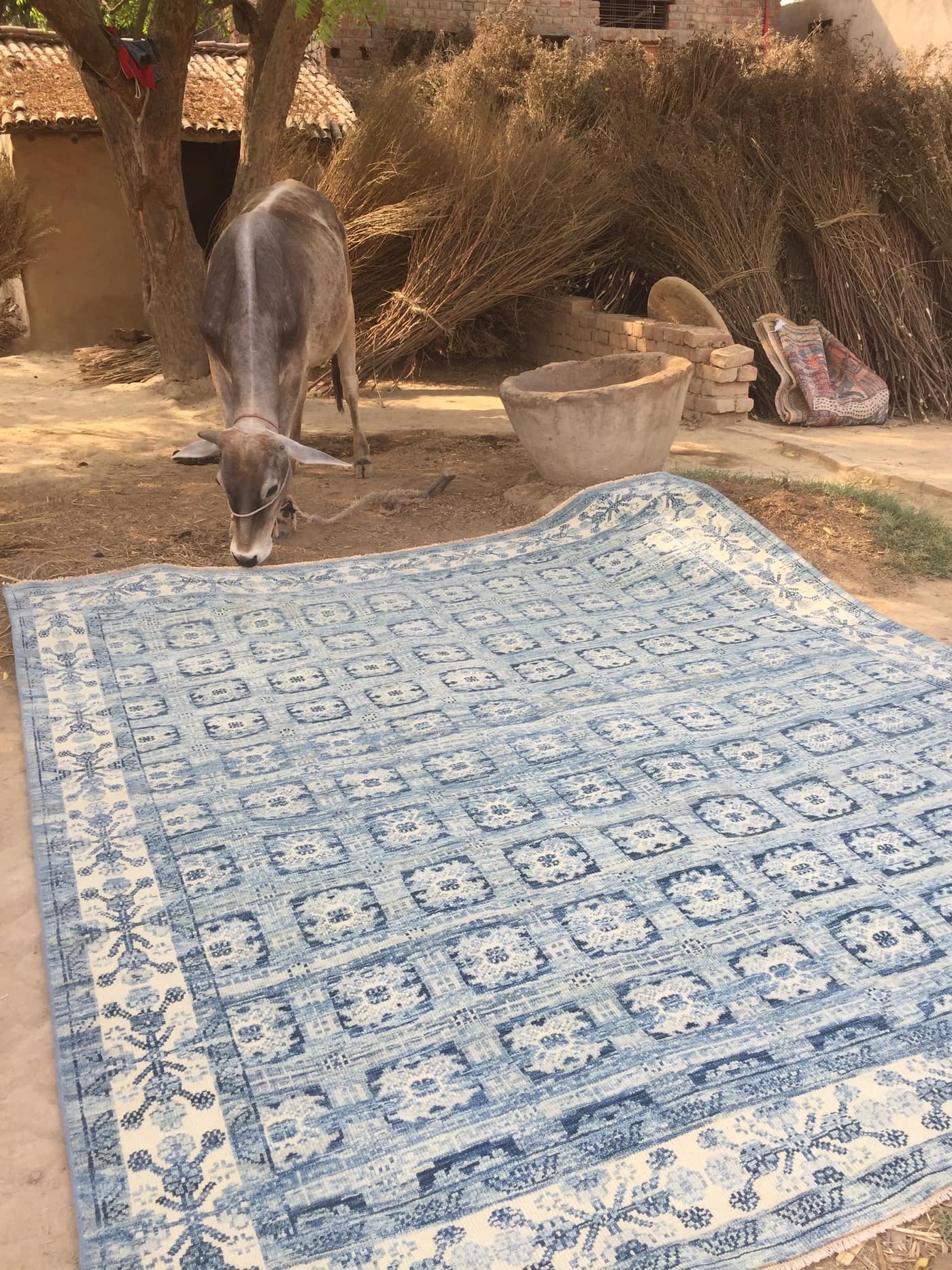Rug Weaving In India - Nomad Rugs